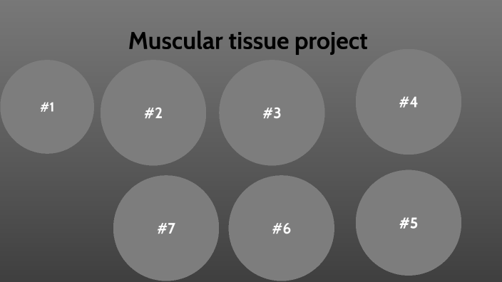 Muscular tissue project by Angel Jimenez on Prezi