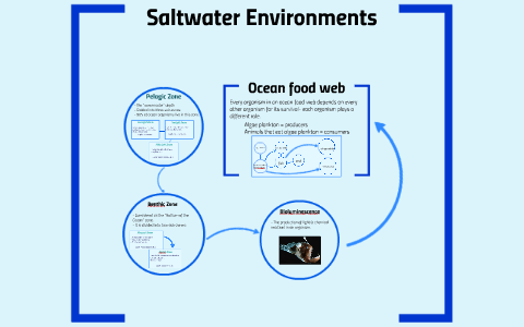 Saltwater Environments by Francesca Pojas on Prezi