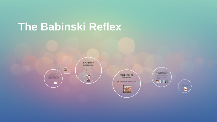 The Babinski Reflex by Cassandra Courtney on Prezi