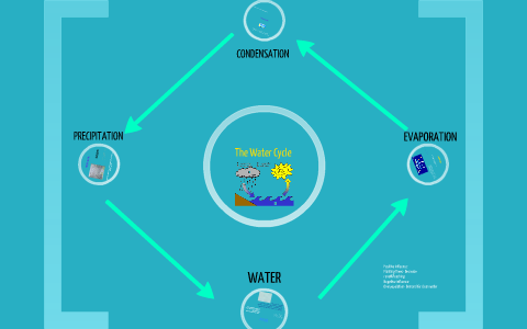 nutrient cycles by William Graat on Prezi
