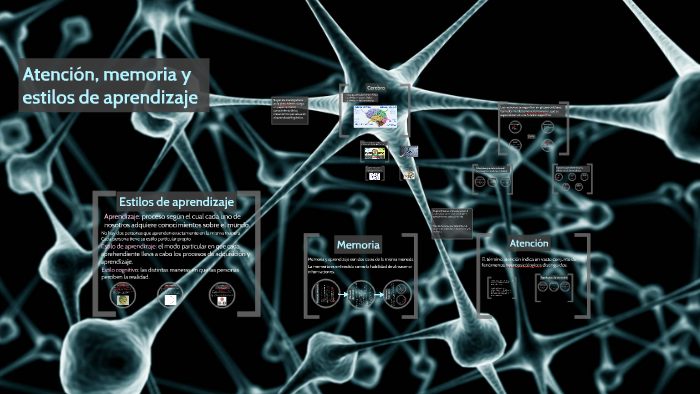 Atención, memoria y estilos de aprendizaje by Giuseppina Moscato on Prezi