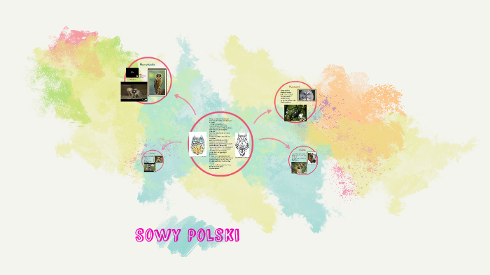 Sowy Polski by Marcelina Malinowska on Prezi