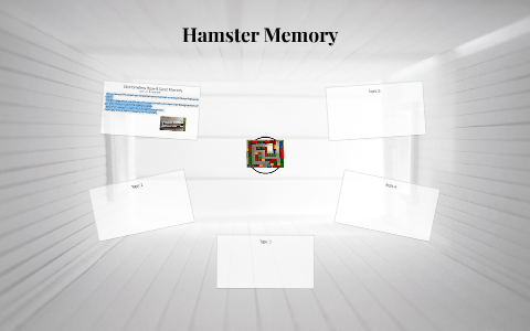 Hamster Memory by norai mez on Prezi