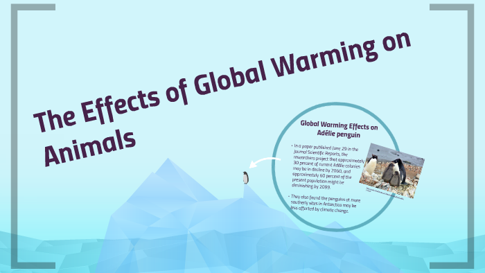 The Effects of Global Warming on Animals by Hewad Popal on Prezi