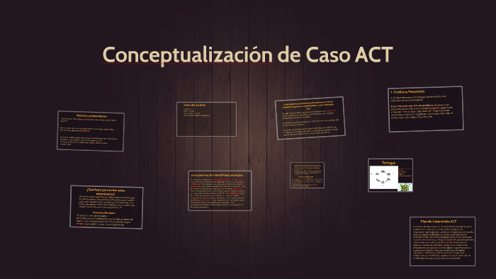 Conceptualización de Caso ACT by Emir Zeba on Prezi