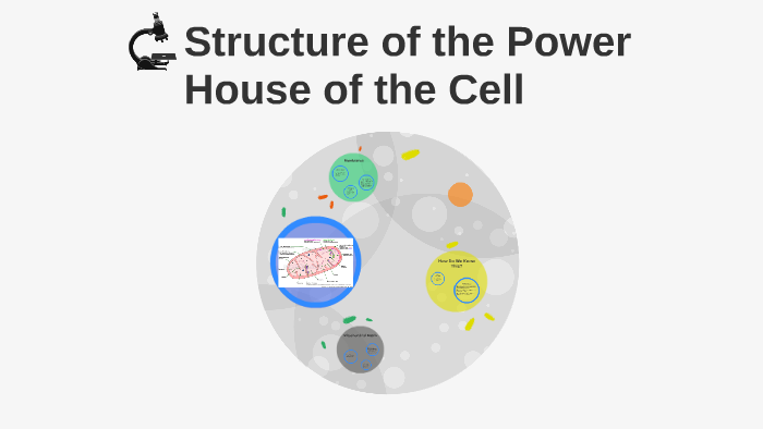 Structure of the Power House of the Cell by fallon brook on Prezi