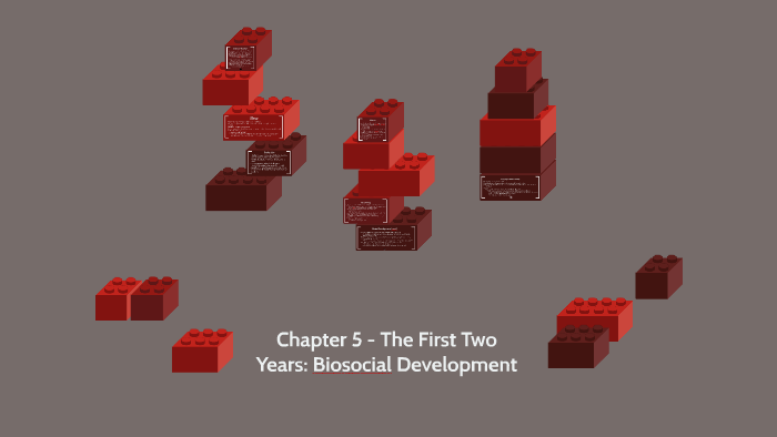 Chapter 5 - The First Two Years: Biosocial Development by Amy Guertin ...