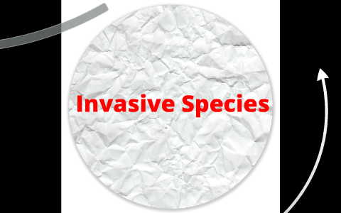 Invasive Species Project by Brian Whitlow on Prezi