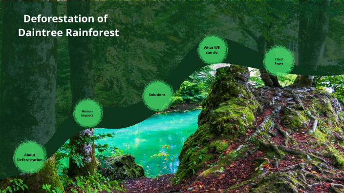 Deforestation of Daintree Rainforest by Sierra Bennett on Prezi