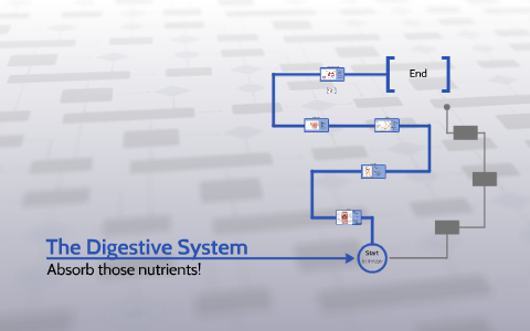 Digestive System by Daniel Abeyta on Prezi