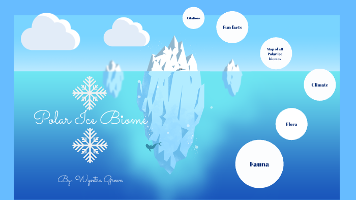 Polar Ice Biome by Wyntre Grove on Prezi