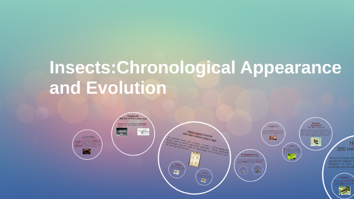 Insects:Chronological Appearance and Evolution by alan lopez on Prezi
