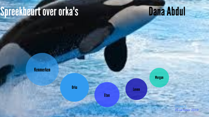 Spreekbeurt Orka's by Maarten Abdul on Prezi