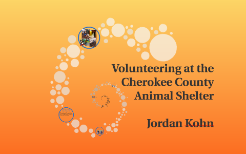 Volunteering at the Cherokee County Animal Shelter by Jordan Kohn on Prezi