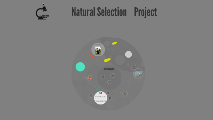 Natural Selection Project by samantha mares on Prezi