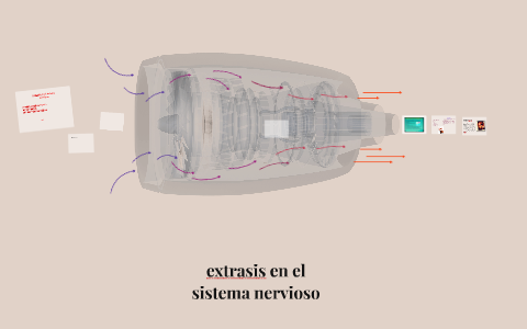 extrasis en el sistema nervioso by Yuli Beltran on Prezi