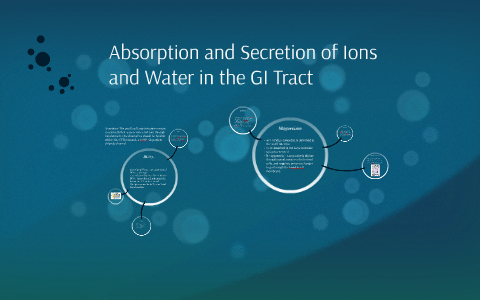 Absorption and Secretion of Ions and Water in the GI Tract by meg ...