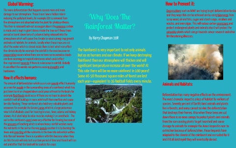 Why Does The Rainforest Matter? by harry chapman on Prezi