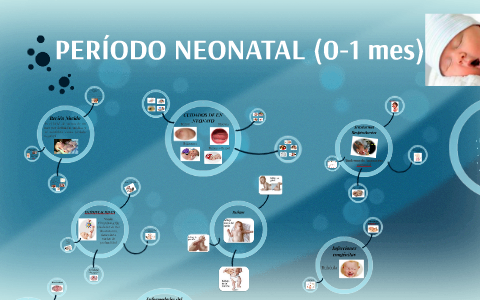 PERÍODO NEONATAL by Celenis Marchán