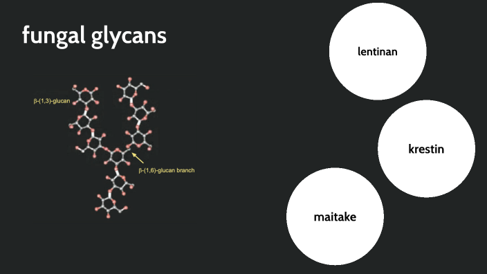 Fungal Glycan-Based Drugs by Julianna Follmar on Prezi