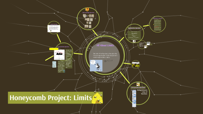 Honeycomb Project by Christine N.
