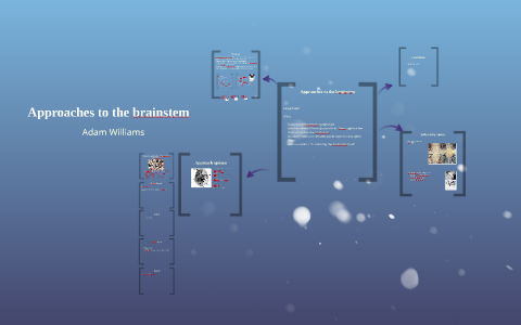APPROACHES TO THE BRAINSTEM by adam williams on Prezi