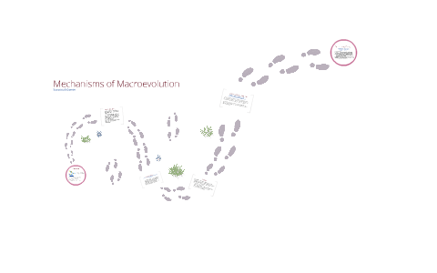 Mechanisms of Macroevolution by Savannah Gomes on Prezi