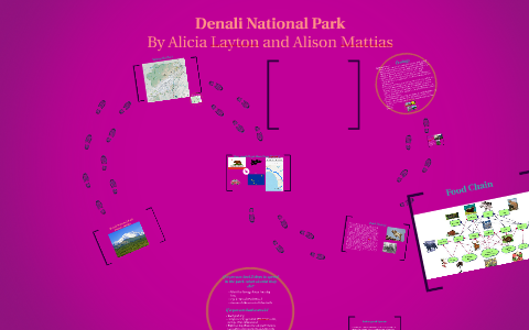 Denali National Park by Alison Mattias