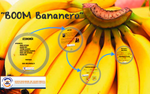 BOOM BANANERO by ricardo nay on Prezi