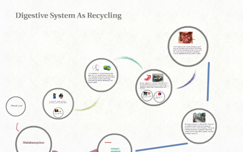 Digestive System As Recycling by Kaitlin Ng on Prezi