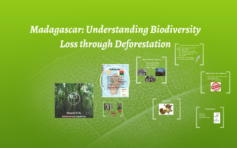 Madagascar: Biodiversity Loss through Deforestation by T G on Prezi