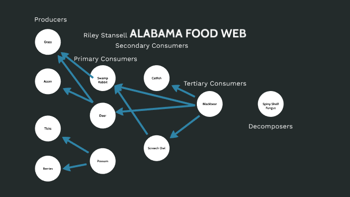 Alabama Food Web by Riley Stansell on Prezi