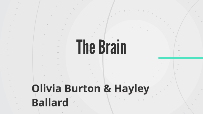 The Brain by Hayley Ballard on Prezi
