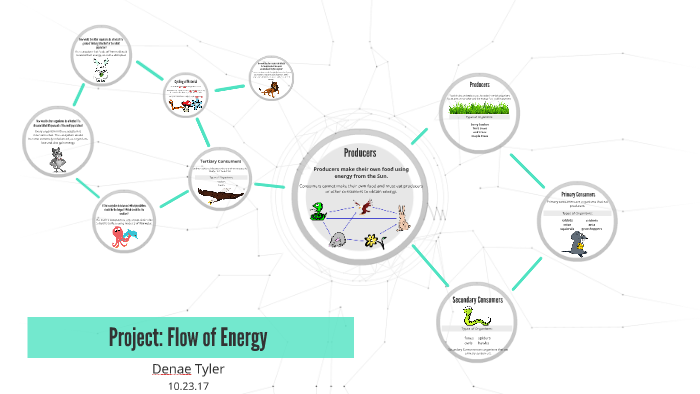 Project: Flow of Energy by Denae Tyler on Prezi