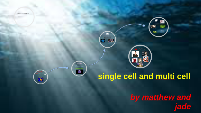 single cell and multi cell by matthew huckeba on Prezi