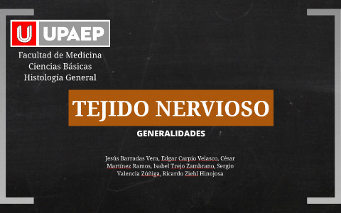 Tejido Nervioso by Isa Trejo on Prezi