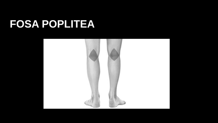 fosa poplitea by ayelen dh on Prezi