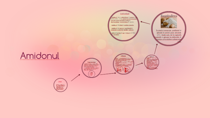 Amidonul by mihaela usatii on Prezi