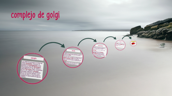 complejo de golgi by Laura Perz on Prezi