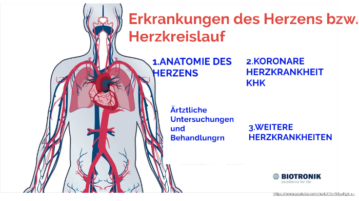 Erkrankungen des Herzens bzw. des herkreislaufsystems by Amanda Balan on Prezi
