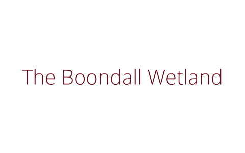 Boondall Wetland Conservation by Balveena Soomal on Prezi