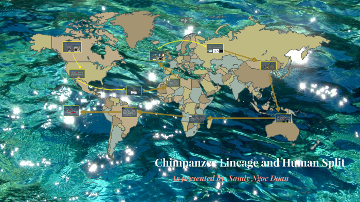 Origin of Humans by Sandy Doan on Prezi
