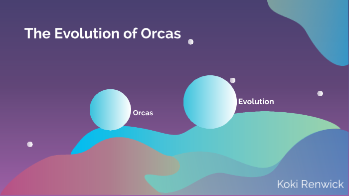 Orca Evolution by Koki Renwick on Prezi