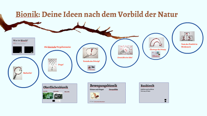 Bionik by Anja Mahlke on Prezi