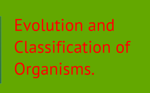 Evolution and Classification of Organisms Dichotomous Key and ...