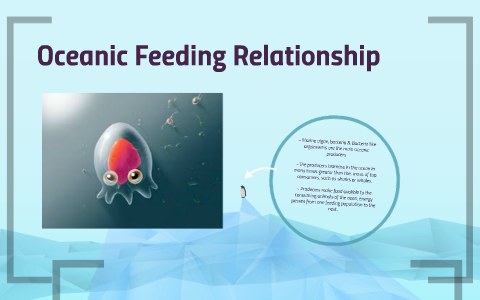 Oceanic Feeding Relationship by Chloe' Bailey on Prezi