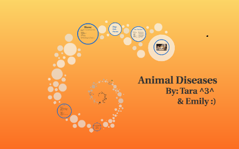 Most Common Animal Diseases by Tawa Kristensen on Prezi
