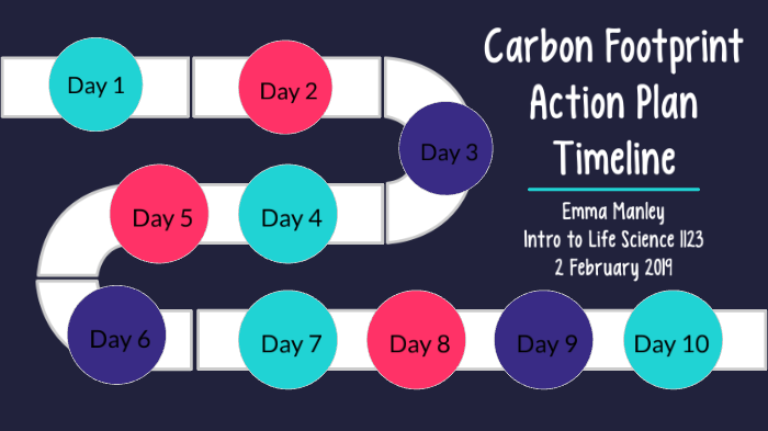 Carbon Footprint Action Plan Timeline by Emma Jo Manley on Prezi