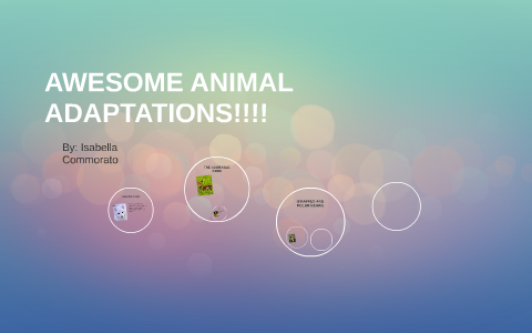 AWESOME ANIMAL ADAPTATIONS!!!! by on Prezi