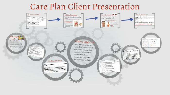 Care Plan Client Presentation by Fionna C on Prezi